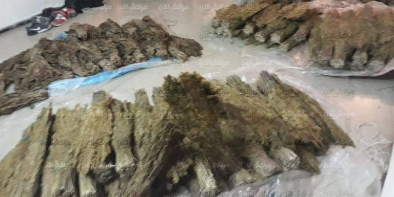 حصري حجز ازيد من 130كلغ من المخدرات واعتقال ثلاثة اشخاص ضمنهم روشيرشي” ضواحي مراكش صورة
